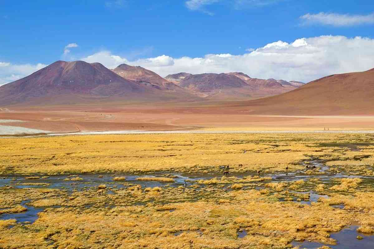 El Desierto de Atacama una parada de espectacular belleza en tu viaje a ...