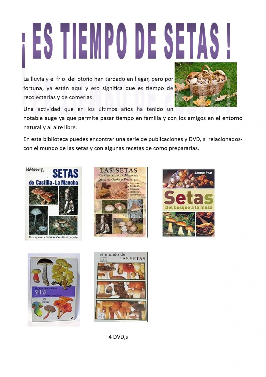 ¡Es la Temporada de Setas: Descubre los Deliciosos Sabores del Otoño!