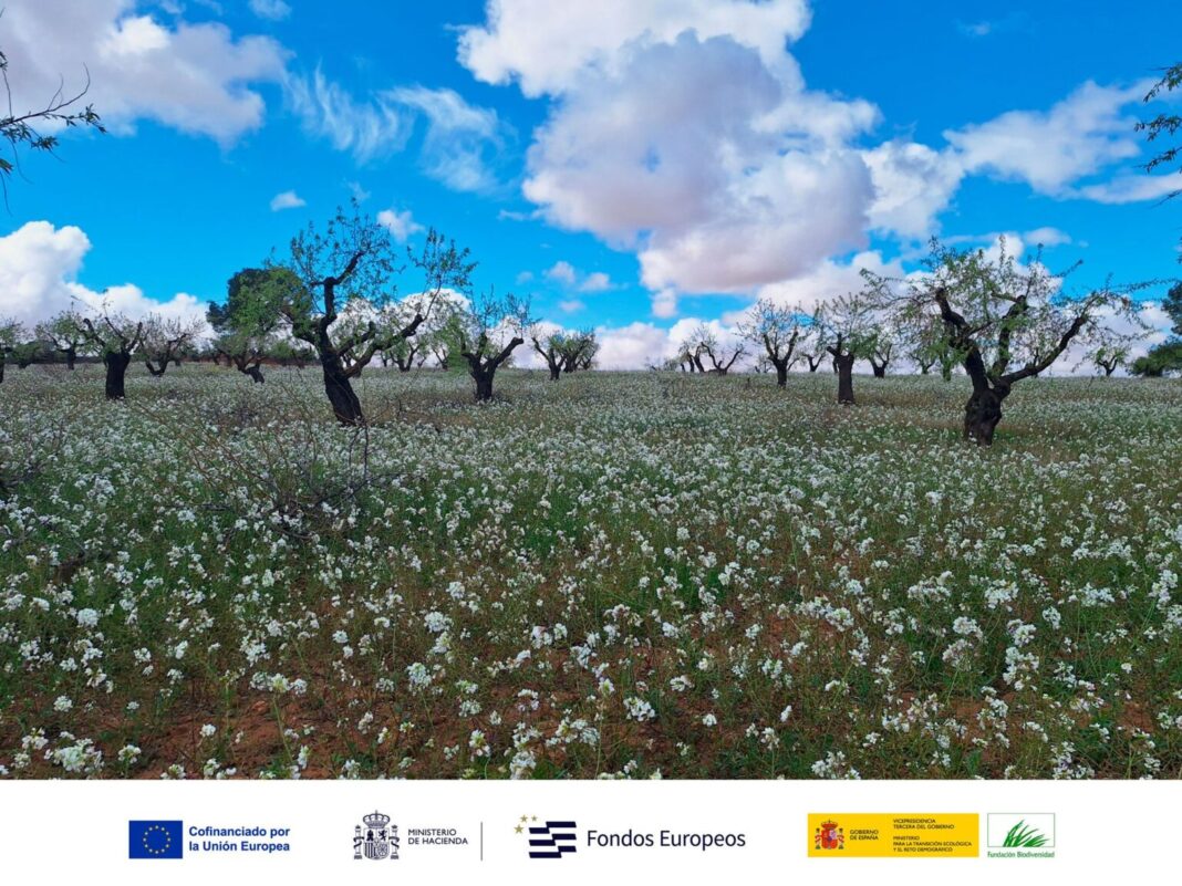 Impulso a la Bioeconomía y servicios ecosistémicos en Castilla-La ...